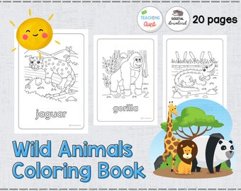 Pet Animals Coloring Book Preschool Pre-k Kindergarten Worksheets ...
