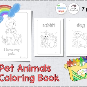 Pet Animals Coloring Book Preschool Pre-k Kindergarten Worksheets ...