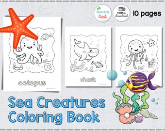 Pet Animals Coloring Book Preschool Pre-k Kindergarten Worksheets ...