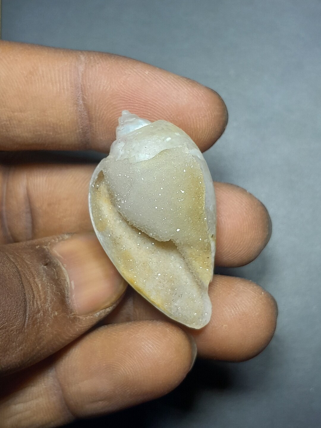 Natural Druzy Shell Agate Fancy Loose Gemstone Opalized Druzy Gemstone ...