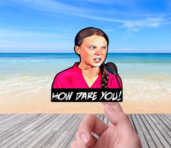 Greta Thunberg How Dare You Vinyl Sticker Vinyl Decal Sticker - Etsy