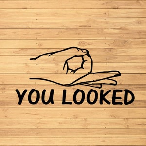 You Looked Vinyl Decal for Car Truck Vehicle Tumbler Hydroflask - Etsy