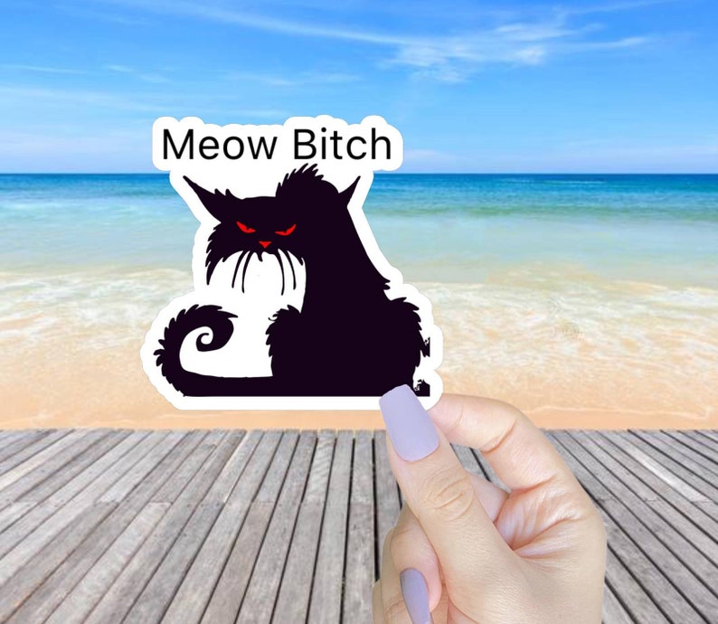 Meow Bitch Sarcastic Black Cat Meme Vinyl Sticker Vinyl Decal - Etsy