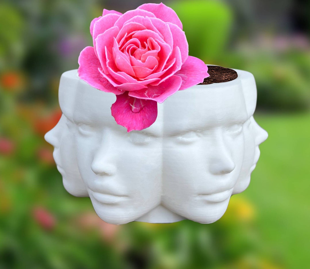 3D Printed Polyface Planter - Etsy