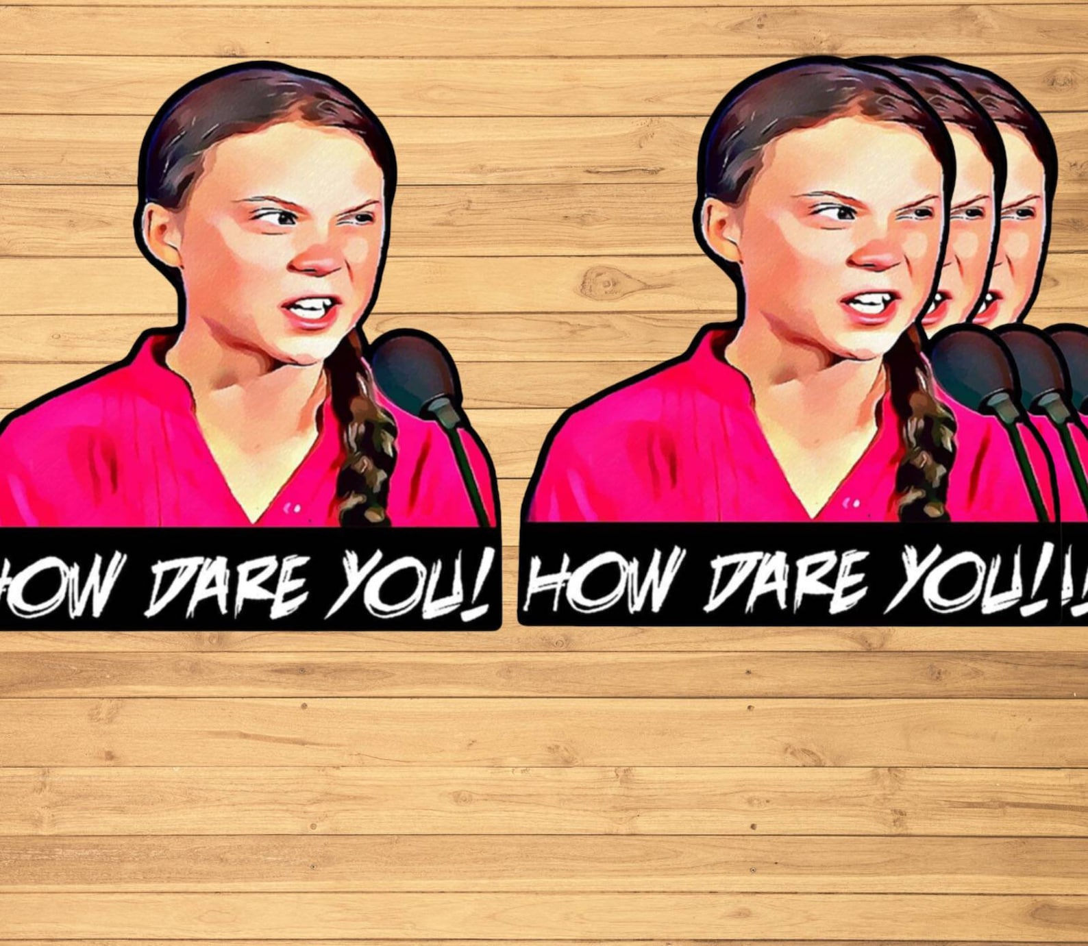 Greta Thunberg How Dare You Vinyl Sticker Vinyl Decal Sticker - Etsy