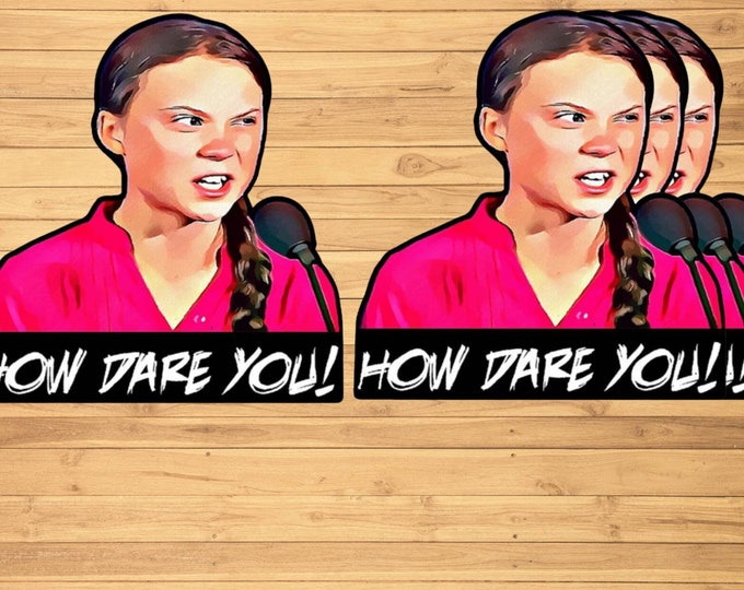 Greta Thunberg How Dare You Meme Decal - Etsy