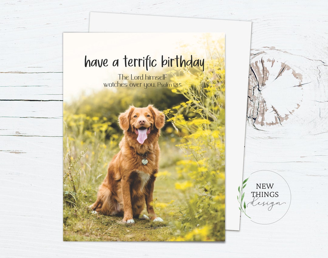 Have a Terrific Birthday Card | Dog Birthday Card | Card for Him | Card ...