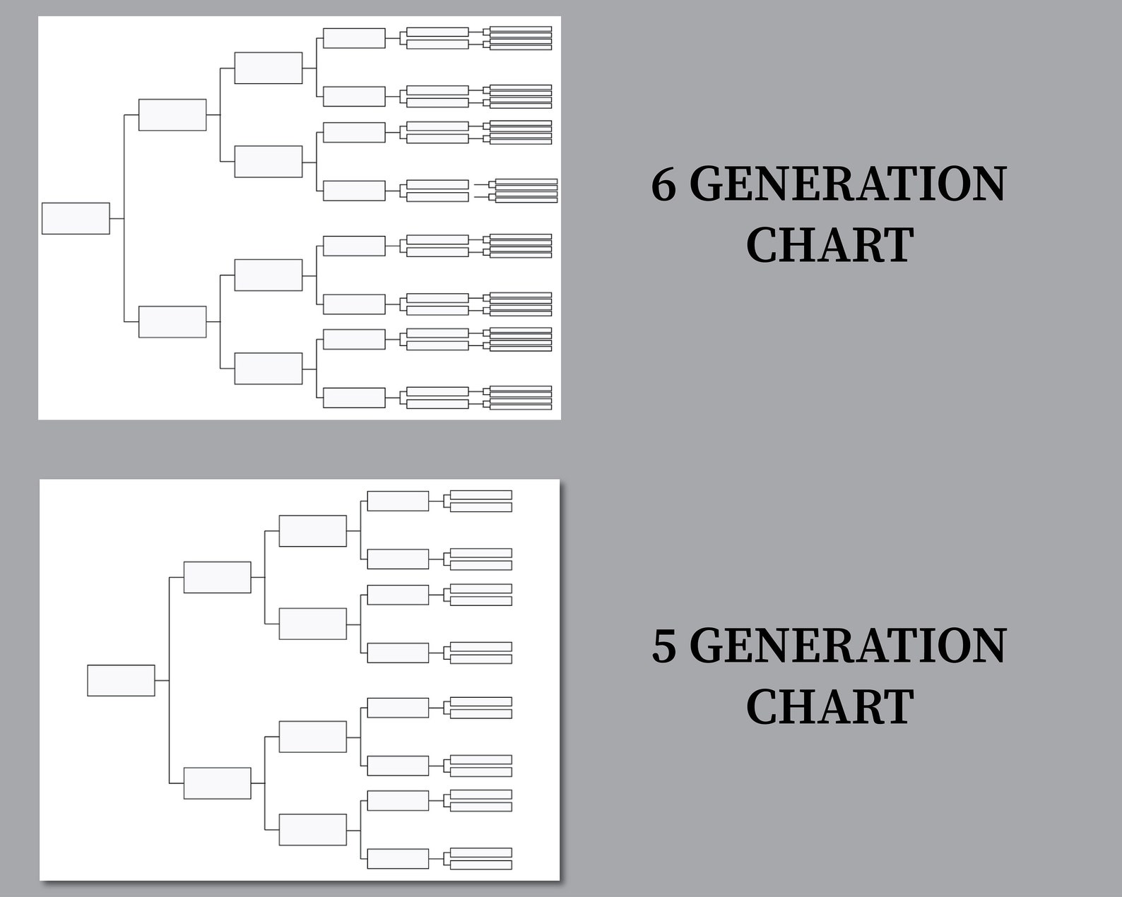 Family Tree Template 5 Generation, Family Tree Chart, Printable and ...