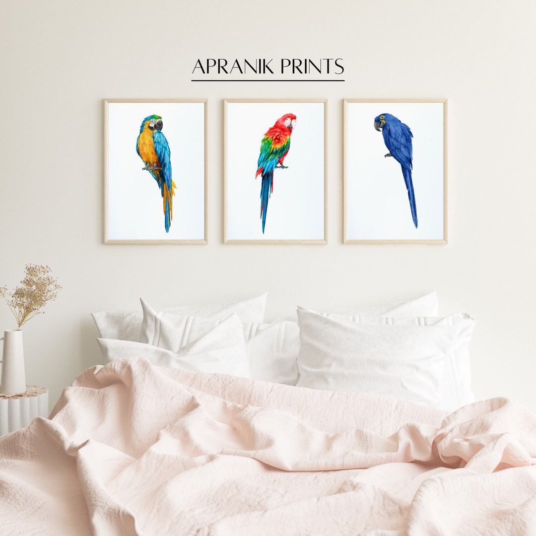 Macaw Print Set of 3 Parrot Wall Art Macaw Wall Art Printable Parrots ...