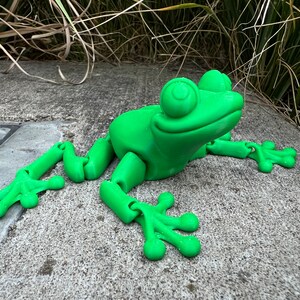 3D Flexi Factory Articulated Tree Frog Toy - Etsy