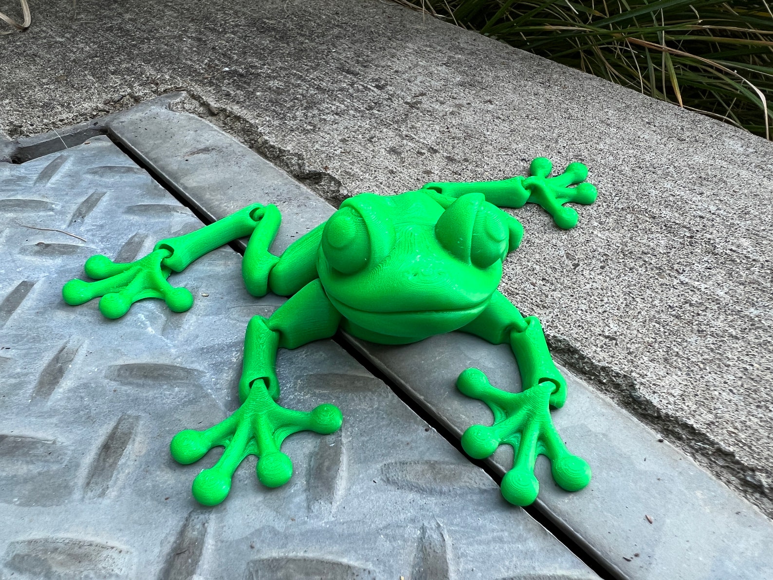 3D Flexi Factory Articulated Tree Frog Toy - Etsy