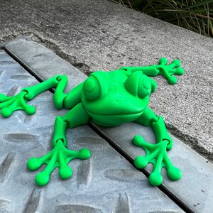 3D Flexi Factory Articulated Tree Frog Toy - Etsy