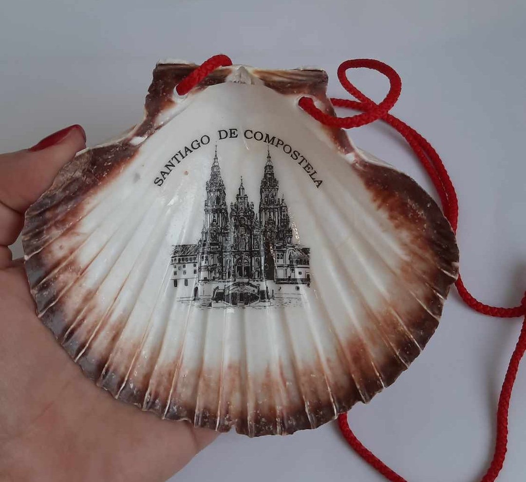 Camino De Santiago Scallop Sea Shell for Pilgrims. A Gift From St James ...