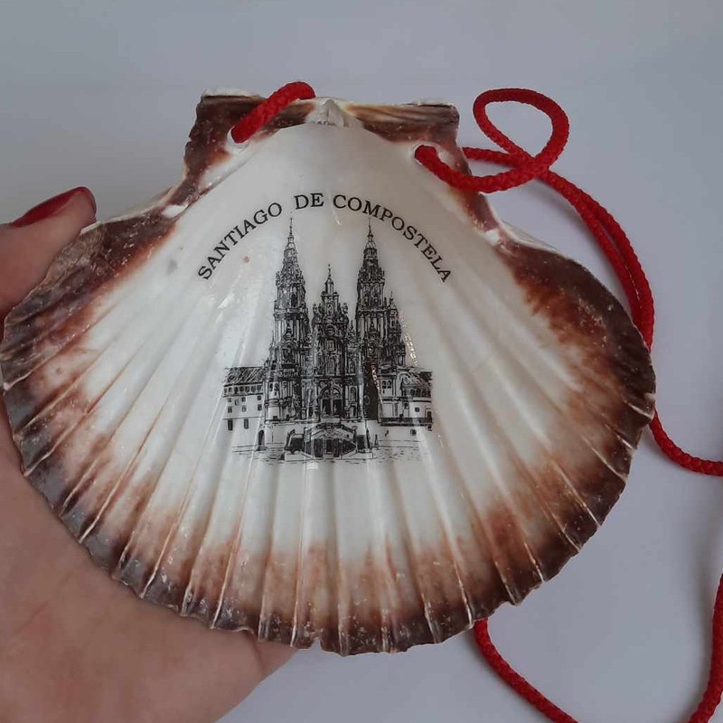 St James Shell - Etsy
