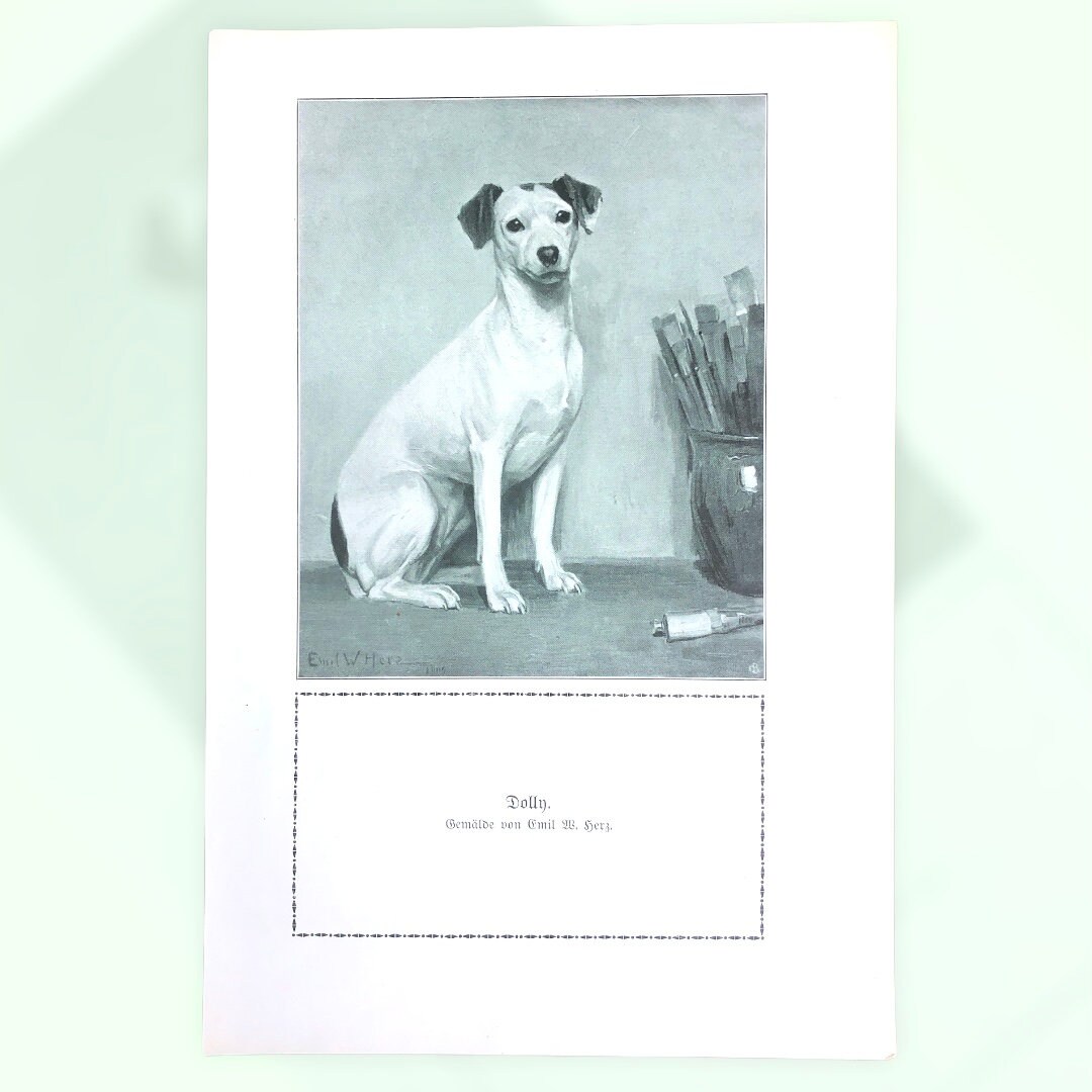 Dog Image Print "dolln" Designed by Emil W. Herz - Vintage Dog Print - Etsy