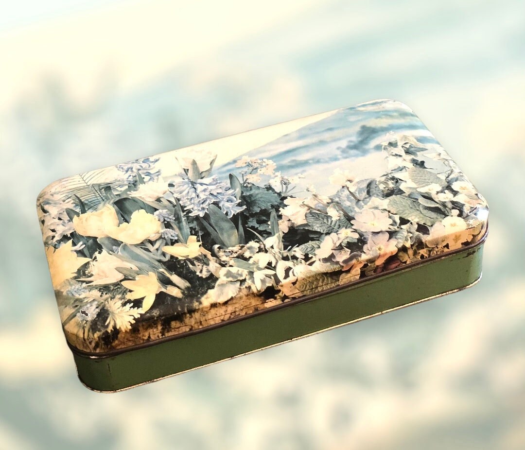 Vintage Italian Tin Box Daina S.p.a. With Image on the Lid of Flowers ...