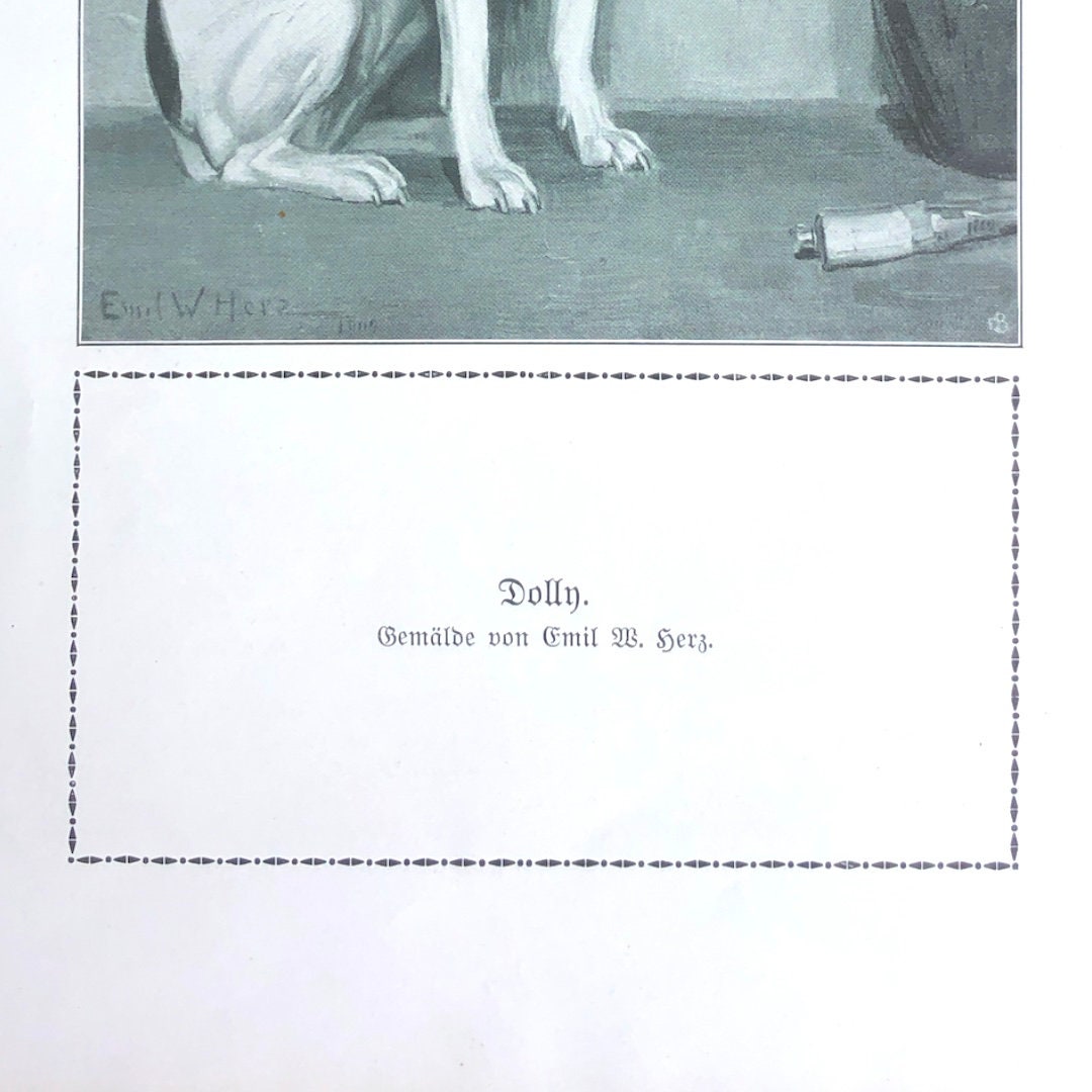 Dog Image Print "dolln" Designed by Emil W. Herz - Vintage Dog Print - Etsy