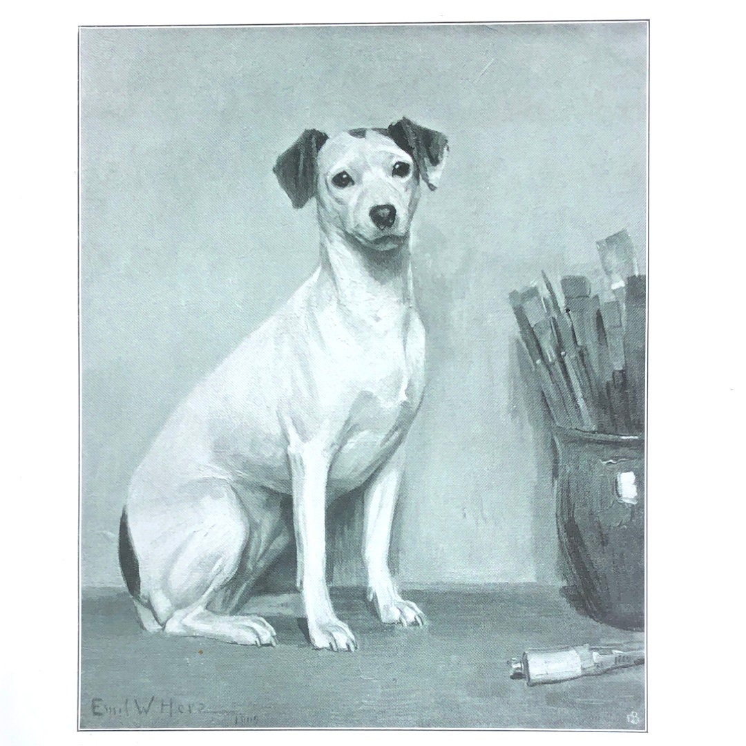 Dog Image Print "dolln" Designed by Emil W. Herz - Vintage Dog Print - Etsy