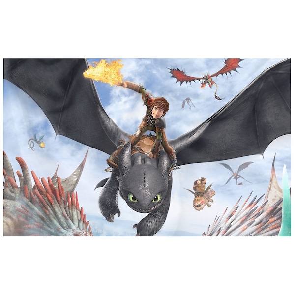 How to Train Dragon - Etsy