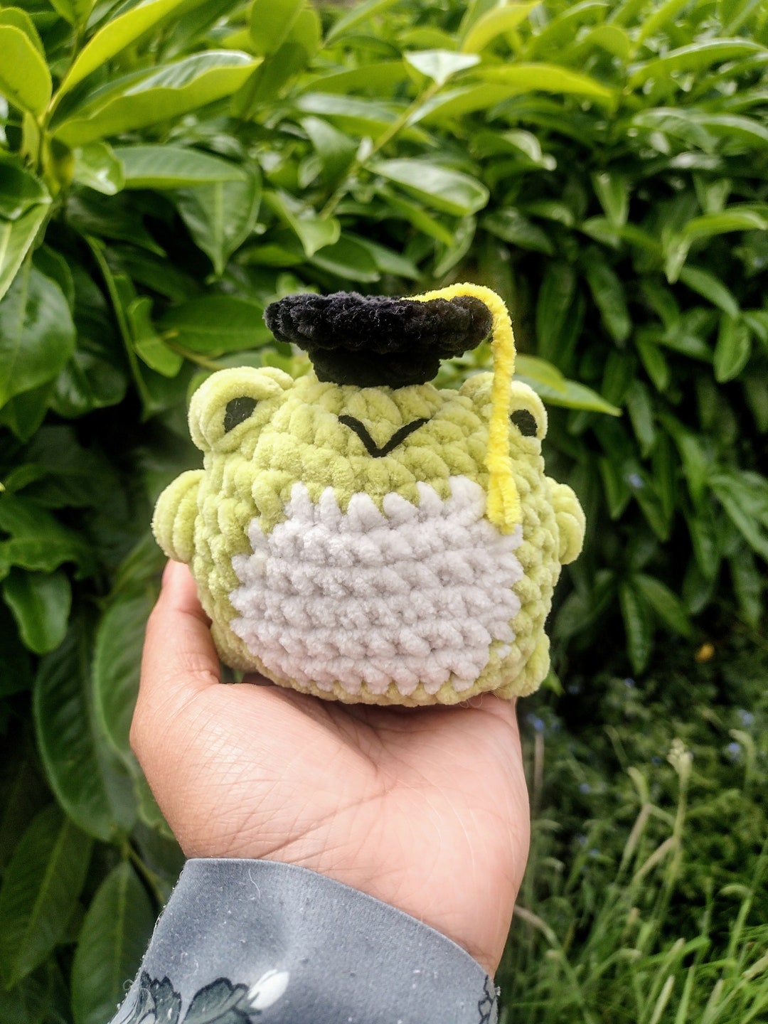 Graduation Froggie - Etsy UK