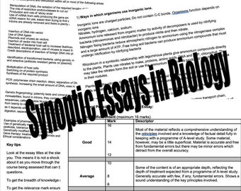 Essay Writing Guide - Etsy