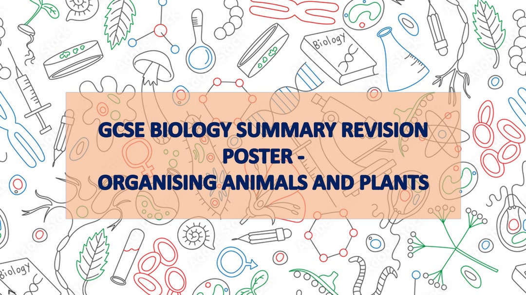 GCSE Biology Organising Animals and Plants Summary Notes - Etsy