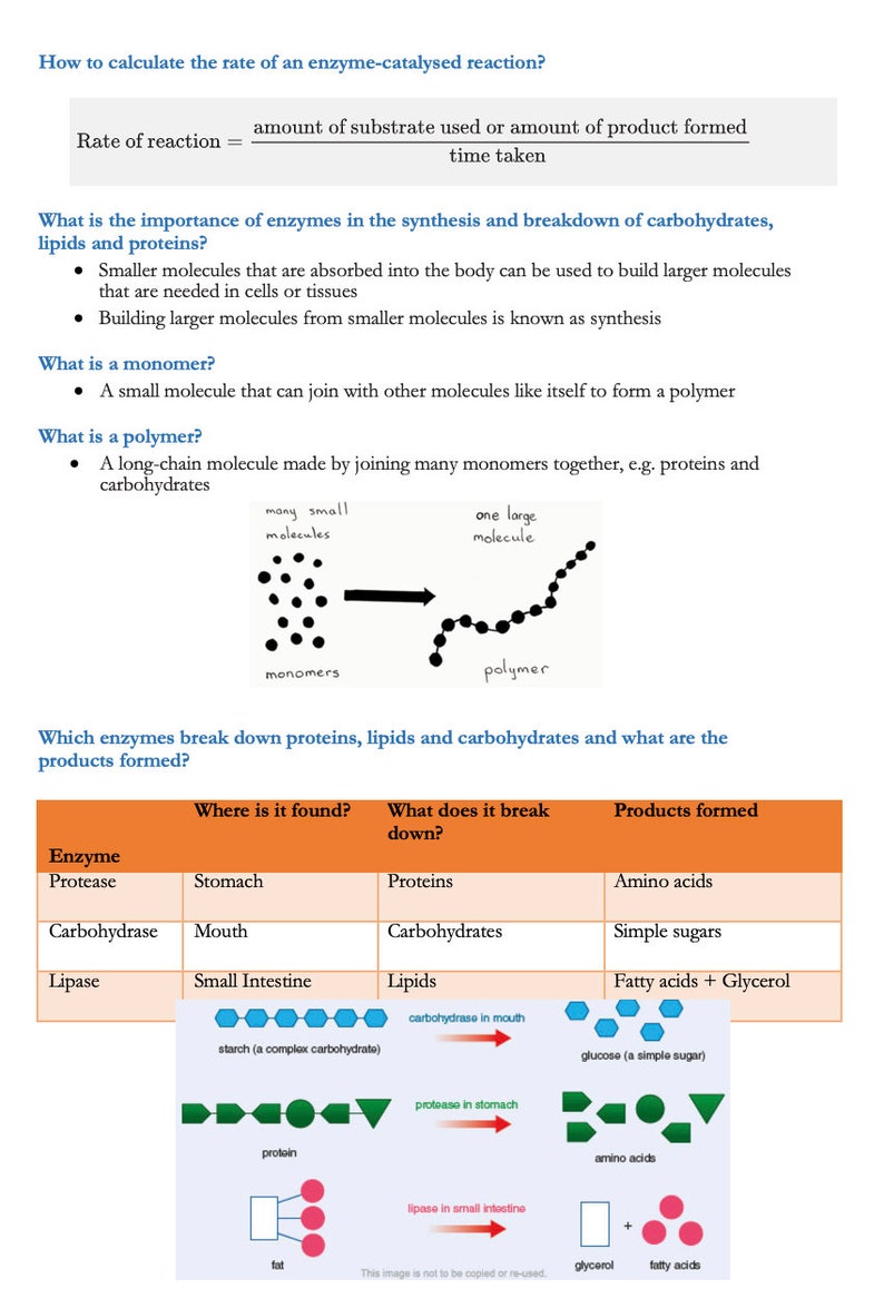 B1 GCSE Edexcel Notes - Etsy