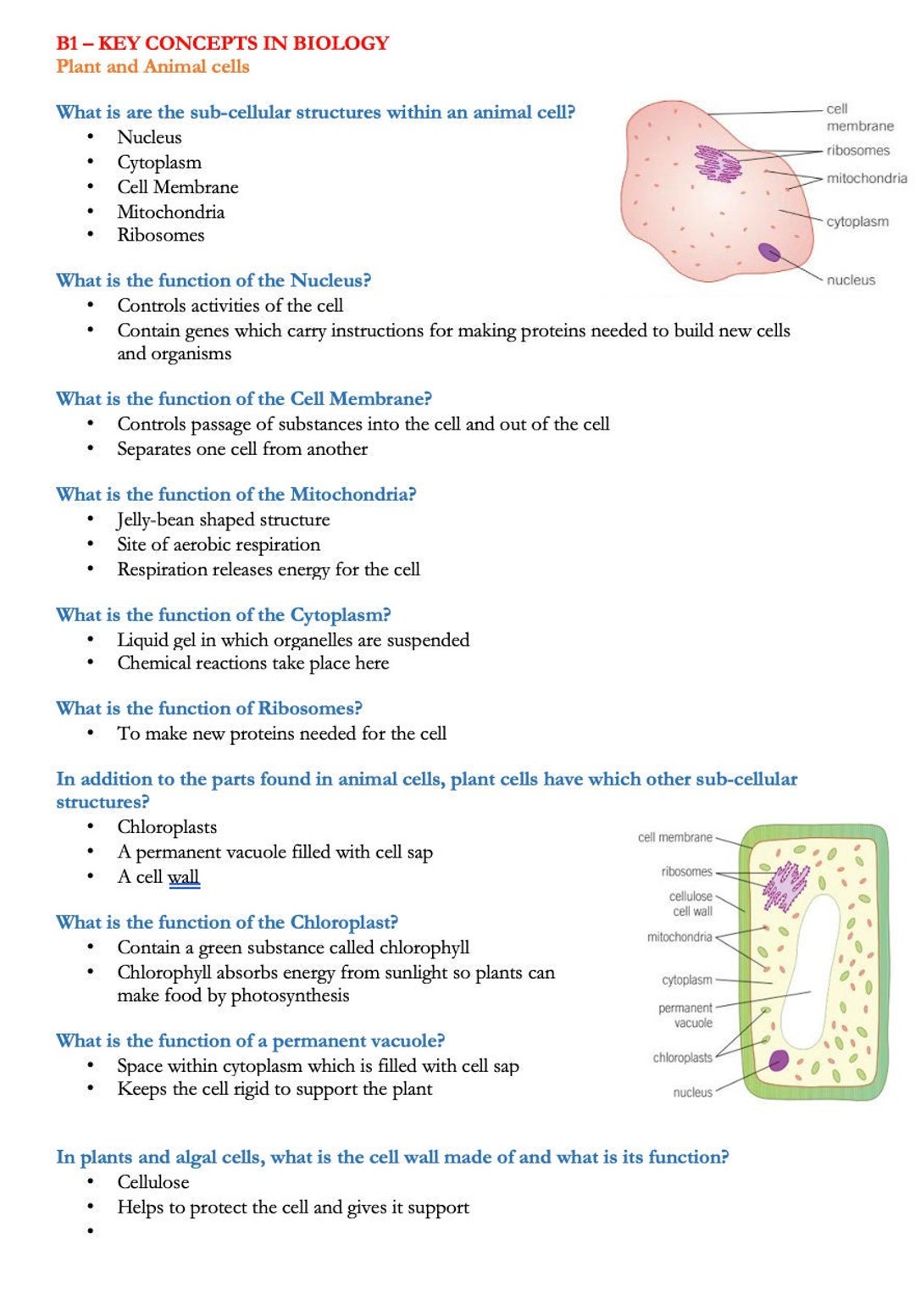 B1 GCSE Edexcel Notes - Etsy