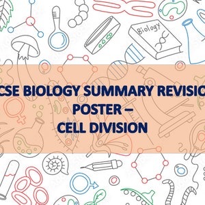 GCSE Biology Cell Division Summary Notes - Etsy UK