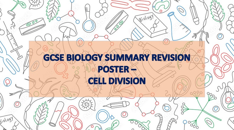 GCSE Biology Cell Division Summary Notes - Etsy UK