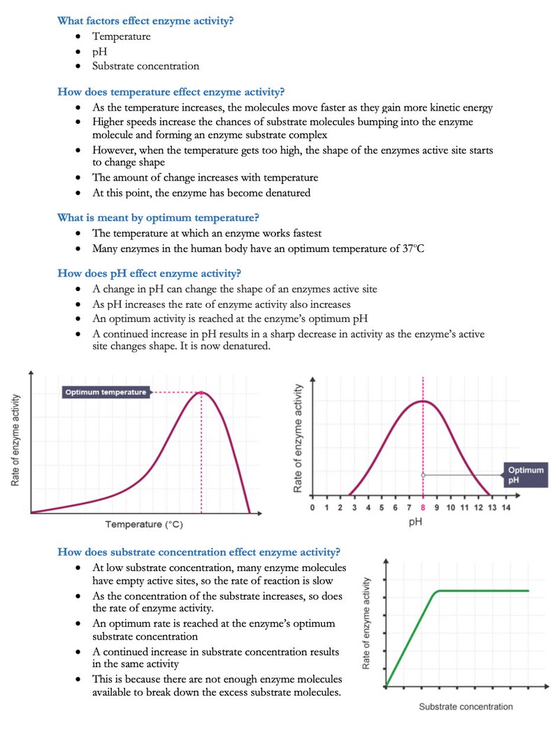 B1 GCSE Edexcel Notes - Etsy
