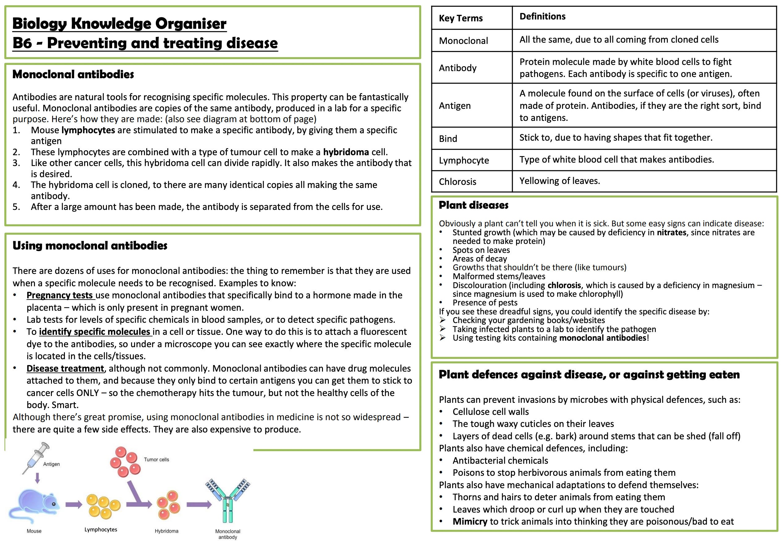 GCSE Biology Diseases Summary Notes - Etsy