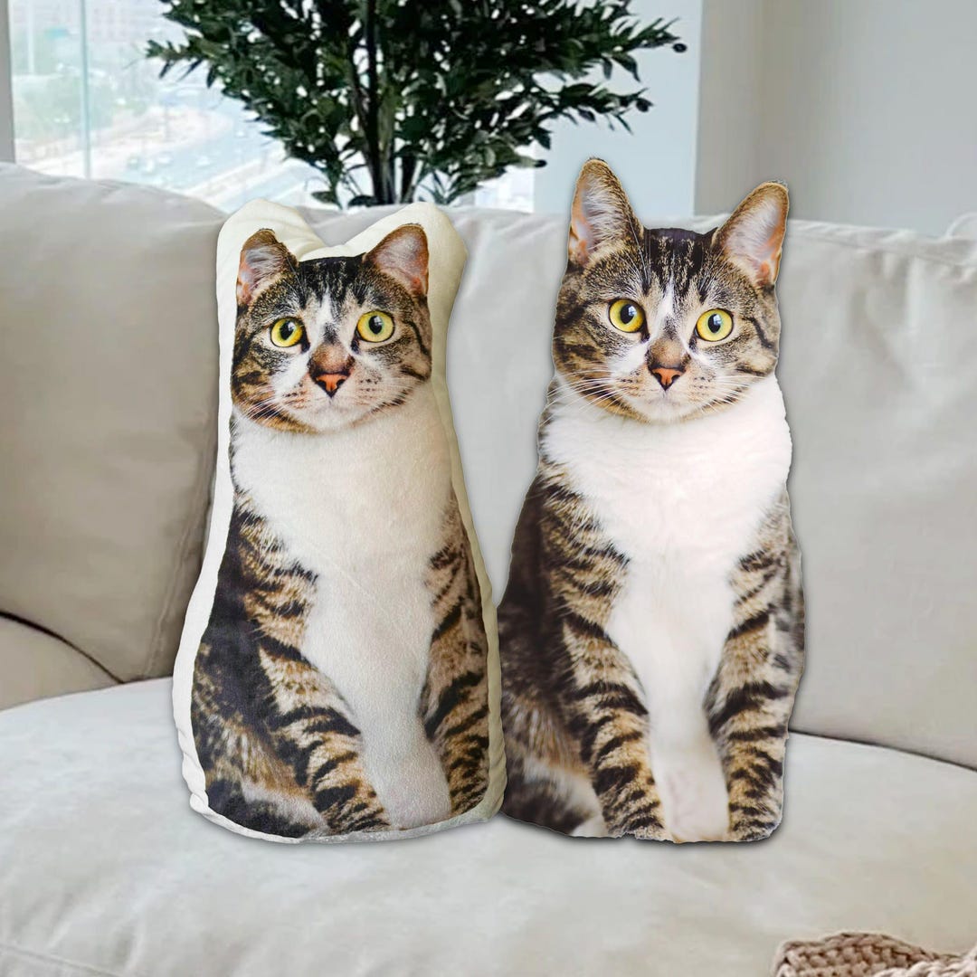 Custom Cat Pillow, Personalized 3D Cat Pillow, Ugly Cat Pillow, Cat ...