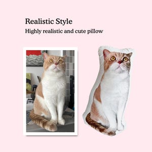 Custom Cat Pillow, Personalized 3D Cat Pillow, Ugly Cat Pillow, Cat ...