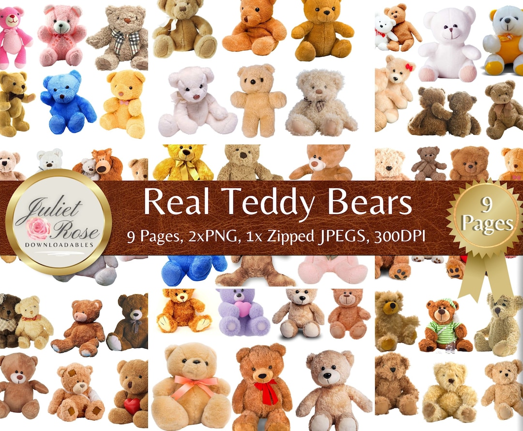 Teddy Bear Clipart - Scrapbook & Journal Embellishments (digital ...