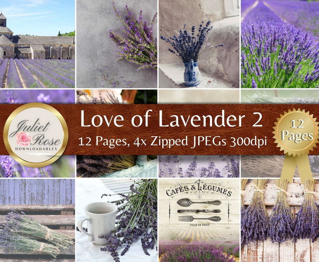 Love of Lavender 2 - Beautiful High Quality Photos of Lavender for Junk ...