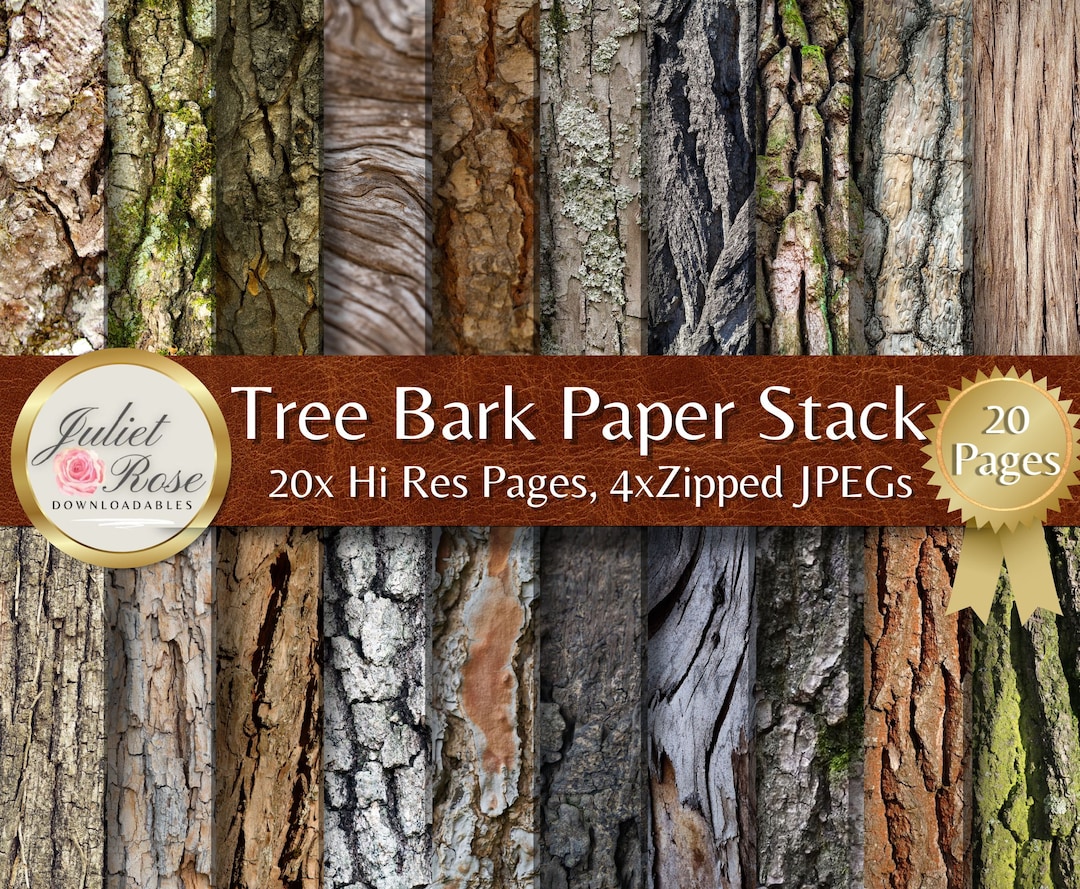 Tree Bark Papers - 20 Hi Res Images of Bark for Backgrounds, Picture ...