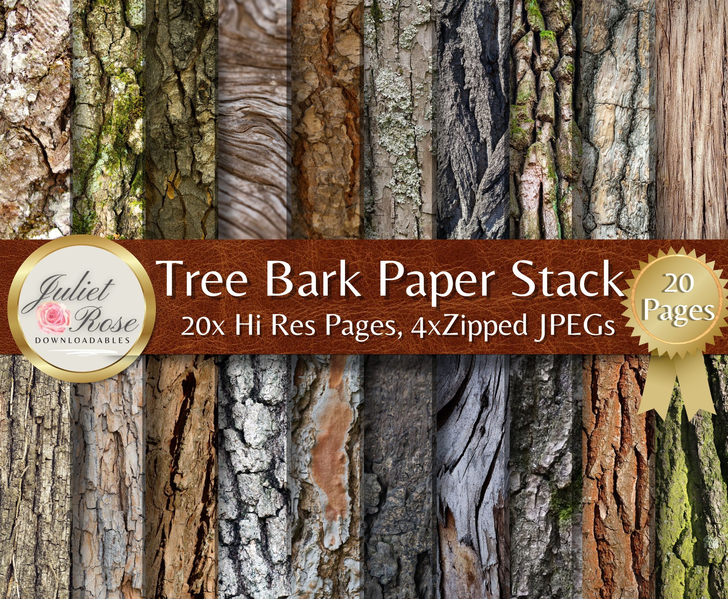 Tree Bark Papers - 20 Hi Res Images of Bark for Backgrounds, Picture ...