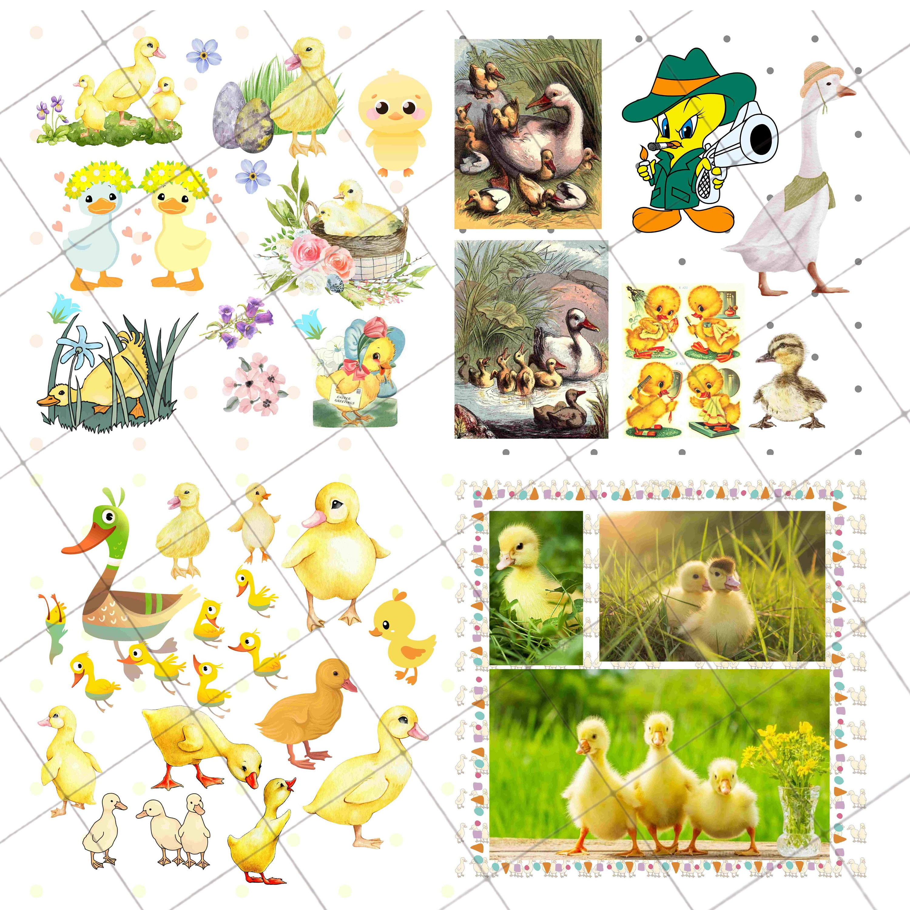 Ducklings A-gogo - 12 Pages of Baby Ducks to Dowload. for Junk Journals ...
