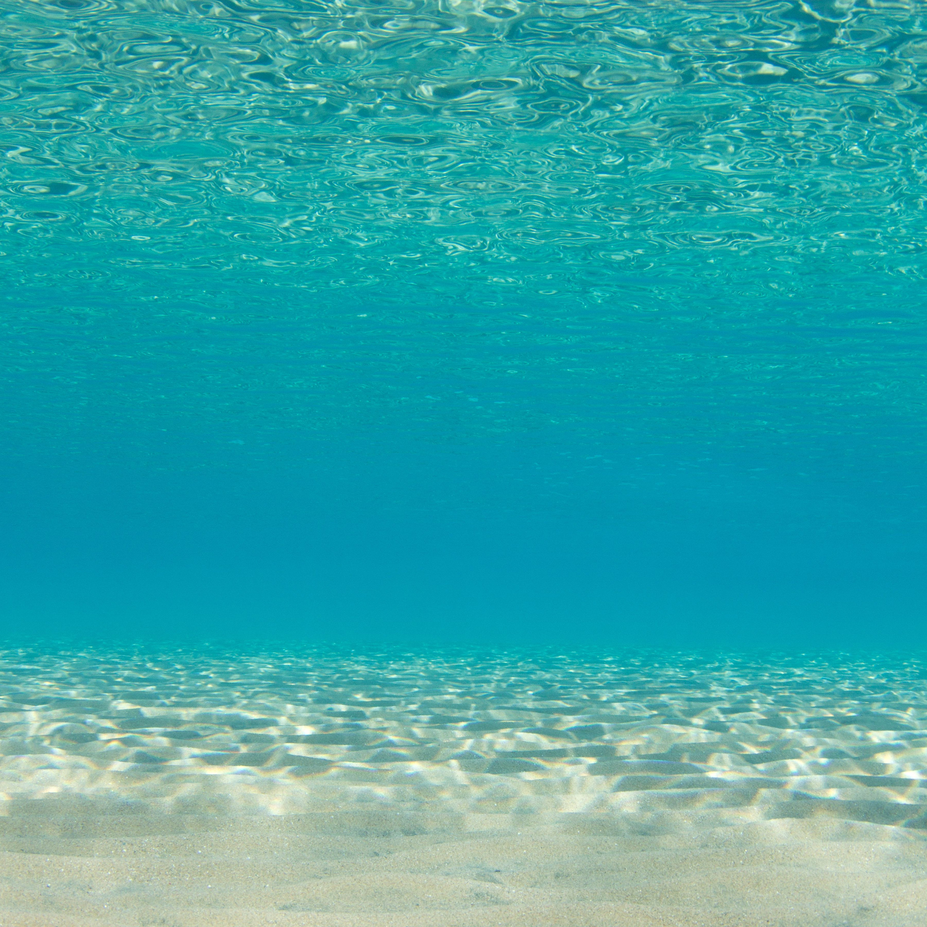 Ocean Floor Scenes 20 Pages of Digital Download Images Ideal for ...