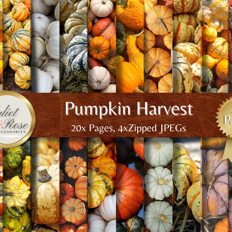 Pumpkin Patch Layout - Etsy