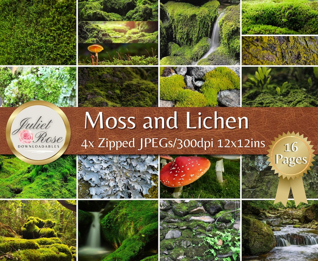 Moss and Lichen Digital Paper – Scrapbooking, Junk Journals (digital ...