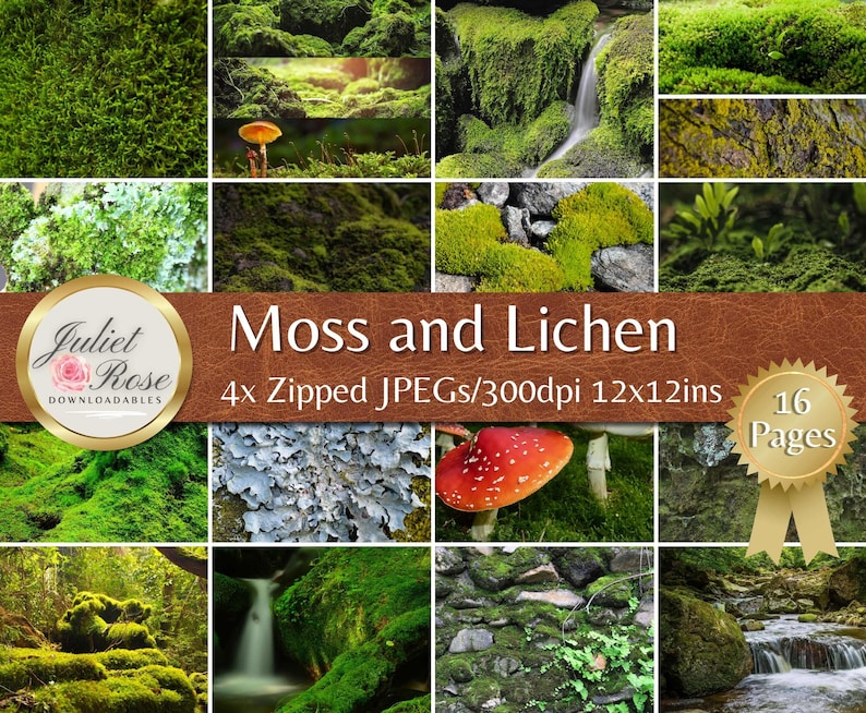 Moss and Lichen Digital Paper – Scrapbooking, Junk Journals (digital ...