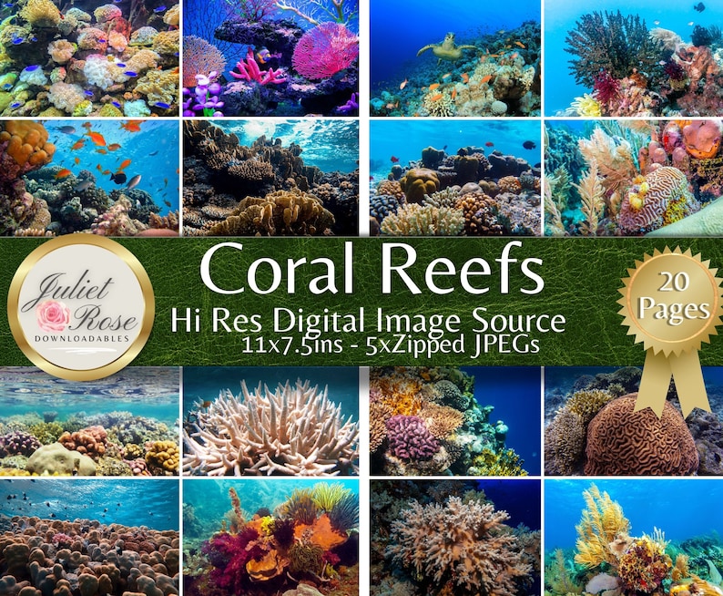 CORAL REEFS - 20 Hi Res Digital Images to Download for Craft Projects ...