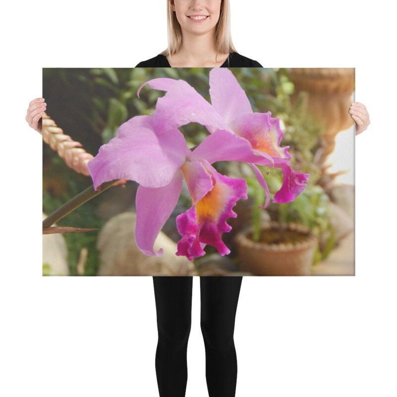 Pink Tranquility Canvas Print Pink Tranquility Wall Art Pink ...