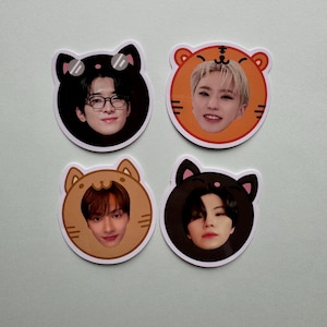 Seventeen Kpop Icon Stickers - Etsy