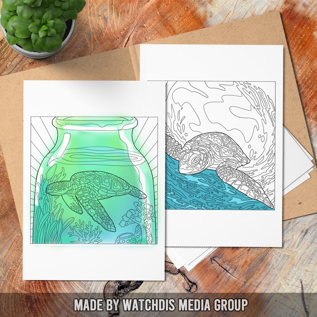 Anti-stress Turtle and Tortoise Coloring Book - Etsy