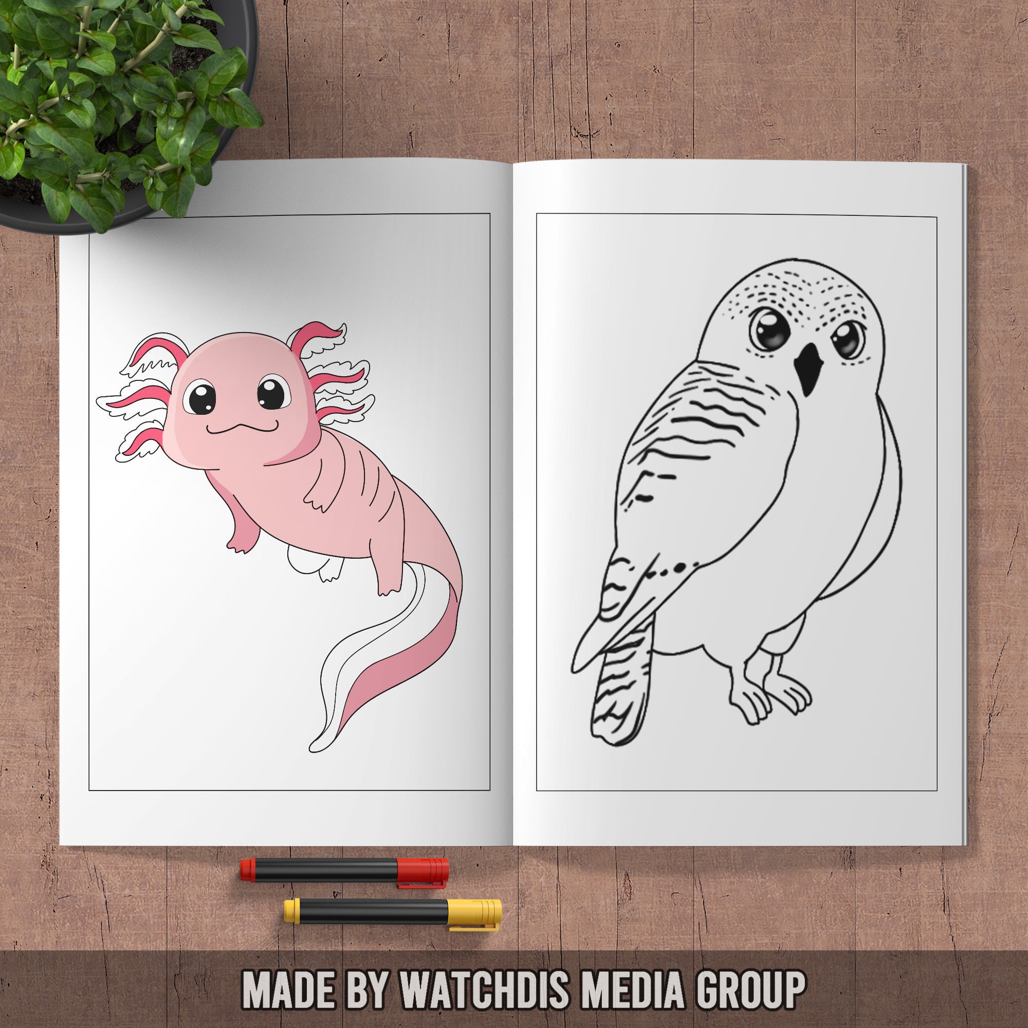 Amphibians, Reptiles and Birds Coloring Book for Animal Lovers - Etsy