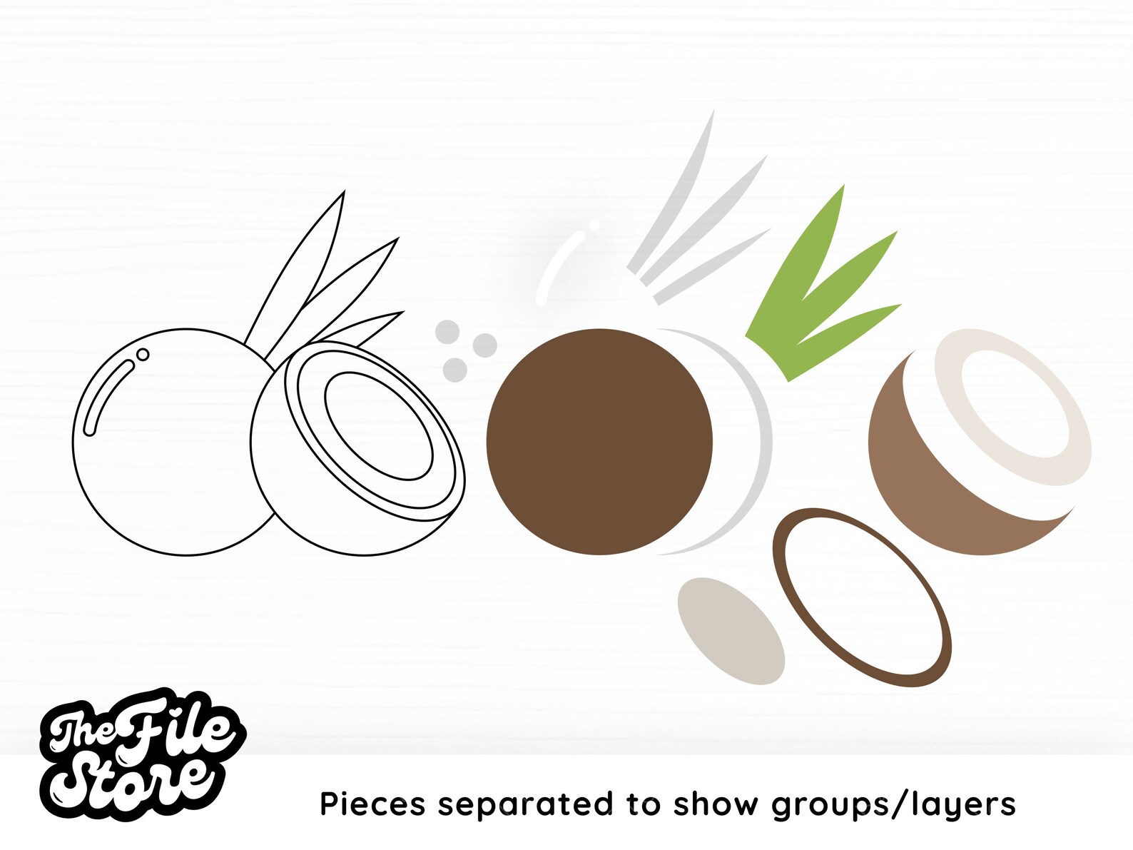 Coconut, Coconut Svg, Coconut Png, Svg, Png, Jpg, Svg Files for Cricut ...