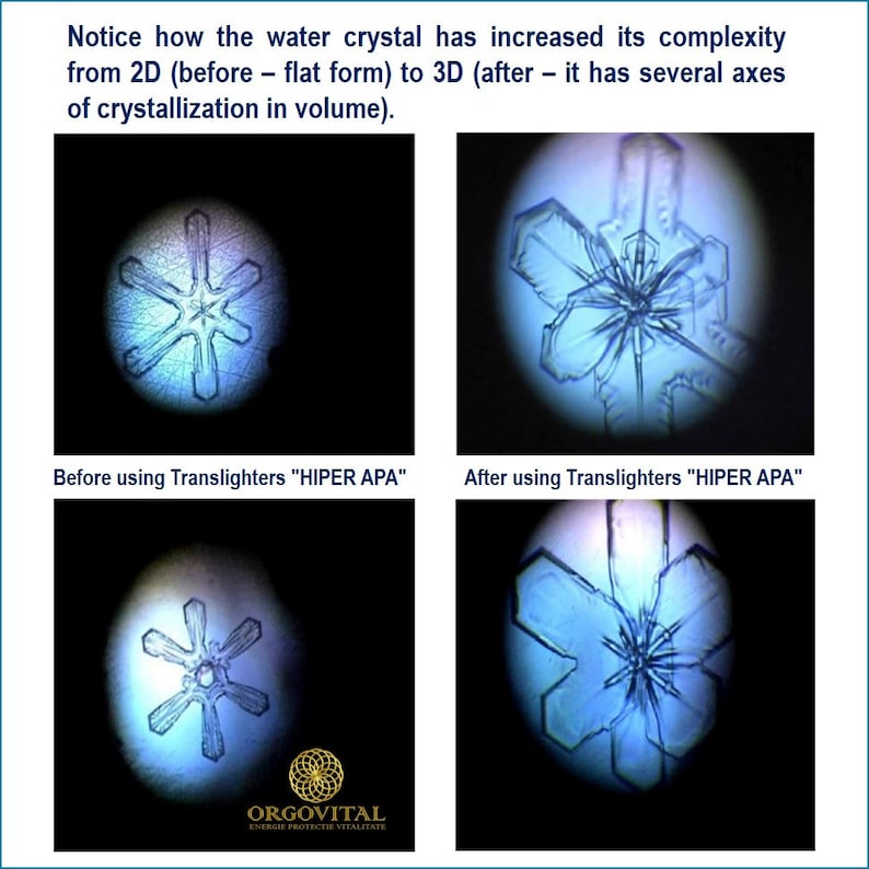 AQUA MAGIC Water Bottle Purifies Water at the Energetic and ...